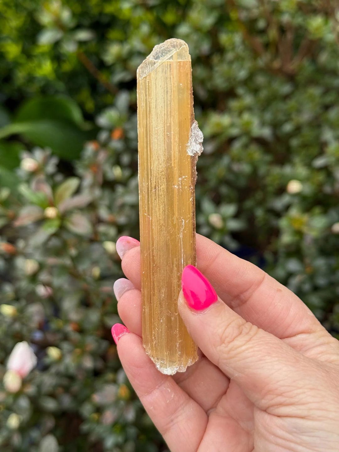 Rare Yellow Selenite With Calcite - Etsy