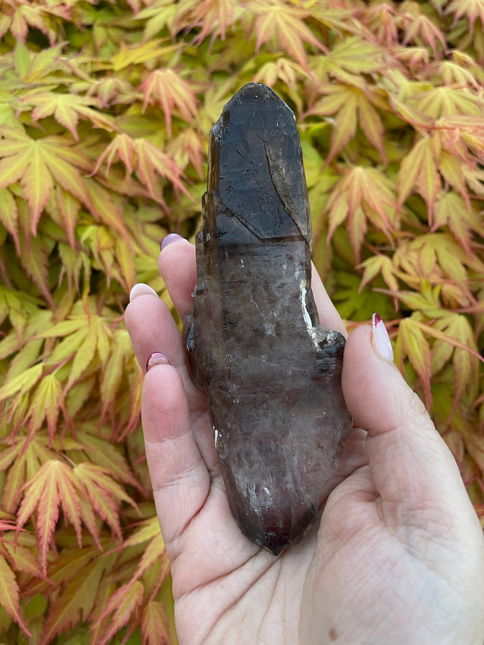 Double Terminated Elestial Smoky Quartz Malawi Specimen - Etsy