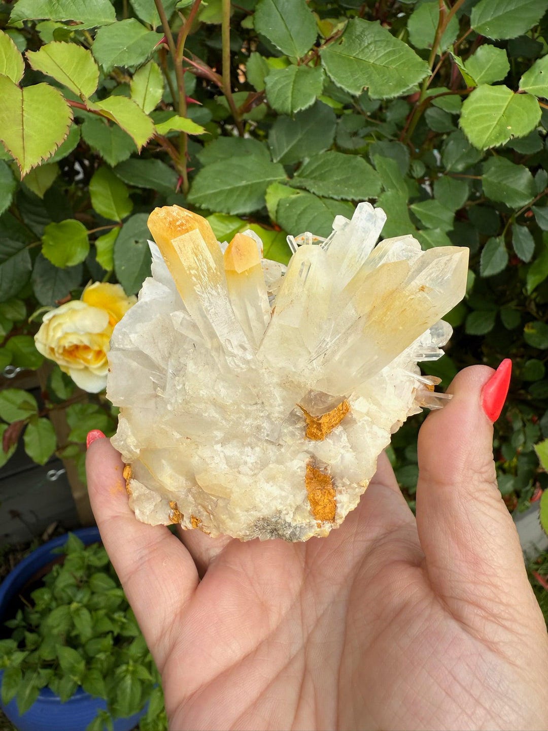 Rare Mango Quartz Halloysite Specimen From Columbia - Etsy