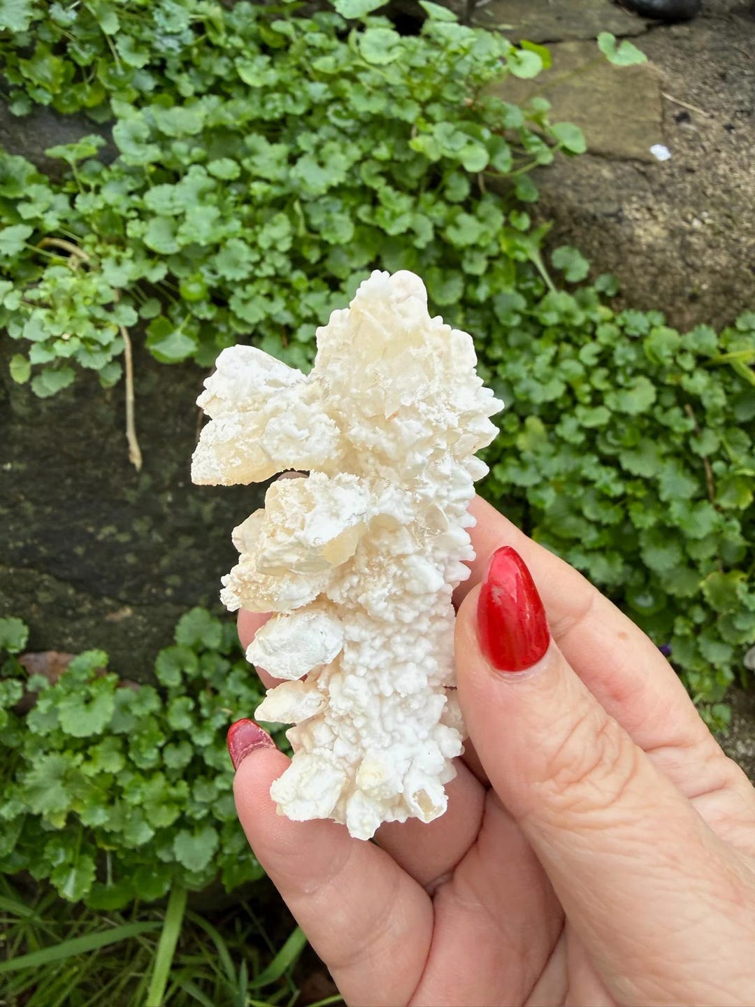 White Aragonite, Stalactite Specimen - Etsy