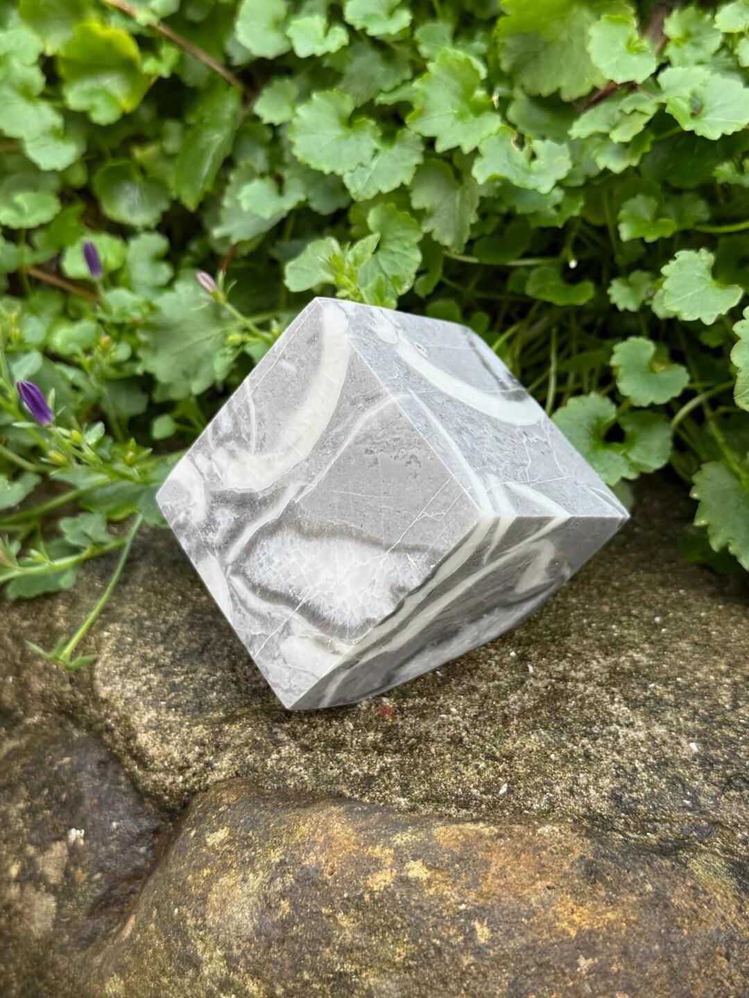Shell Jasper Floating Cube - Etsy