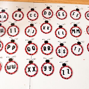 Sensory Bin Kit- Ladybug / Letter Matching - Etsy