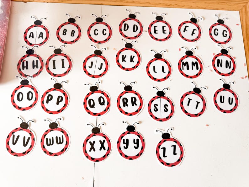 Sensory Bin Kit- Ladybug / Letter Matching - Etsy