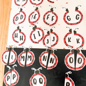 Sensory Bin Kit- Ladybug / Letter Matching - Etsy