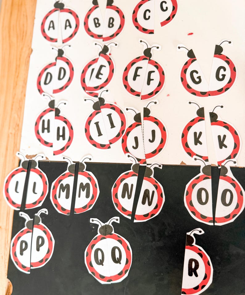 Sensory Bin Kit- Ladybug / Letter Matching - Etsy