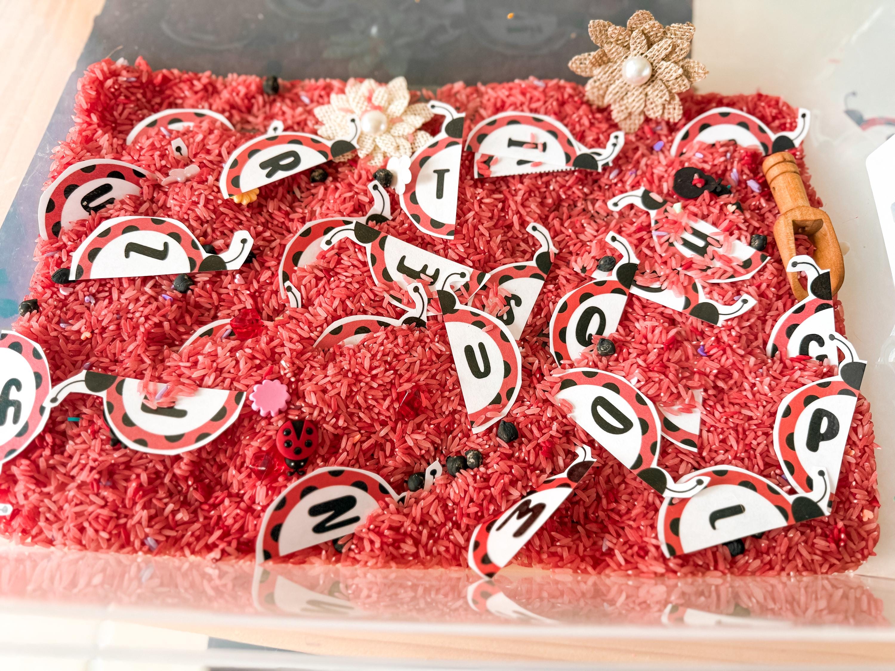 Sensory Bin Kit- Ladybug / Letter Matching - Etsy