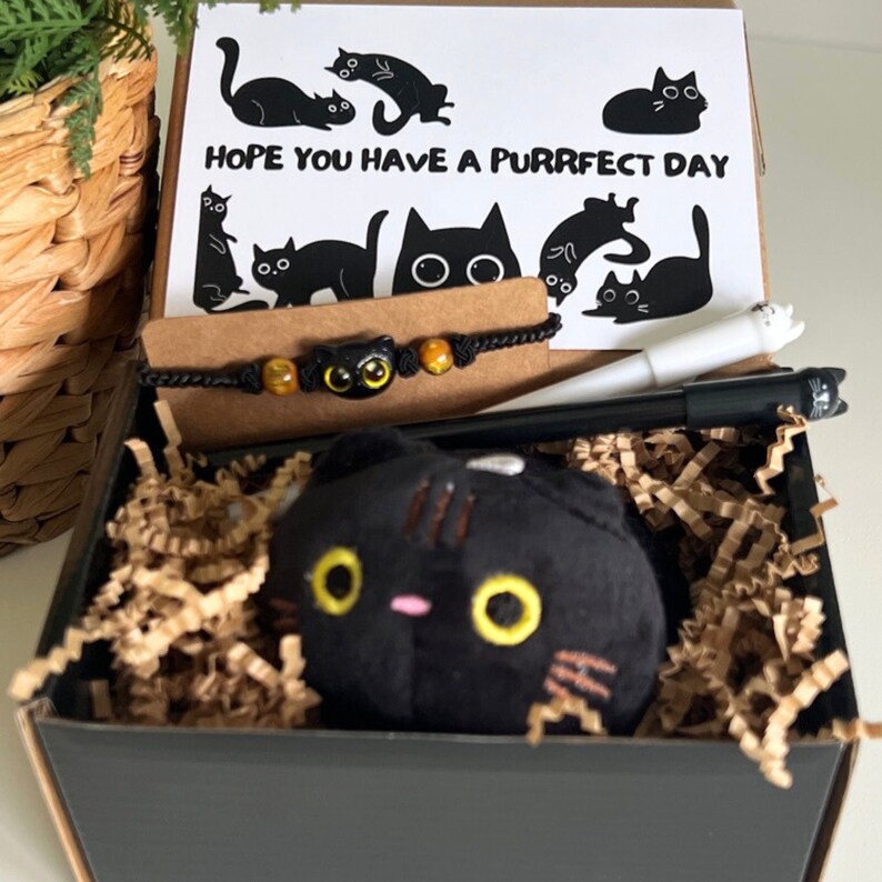 Black Cat Themed Gift Box, Kids & Adults Cat Lovers Box, Kawaii Cat ...