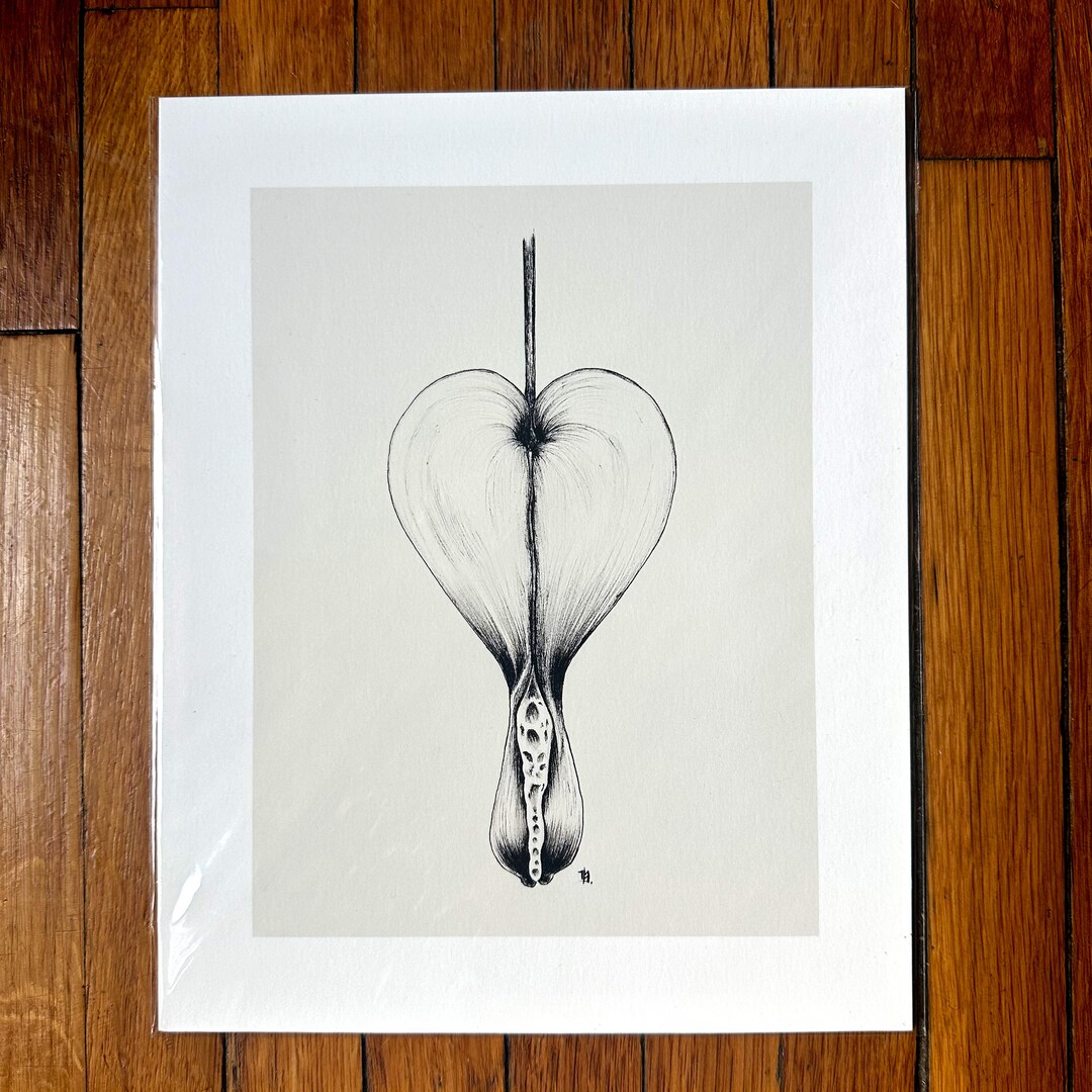 Bleeding Heart Floral Pen and Ink 8x10 Unframed Print - Poisonous Plant ...