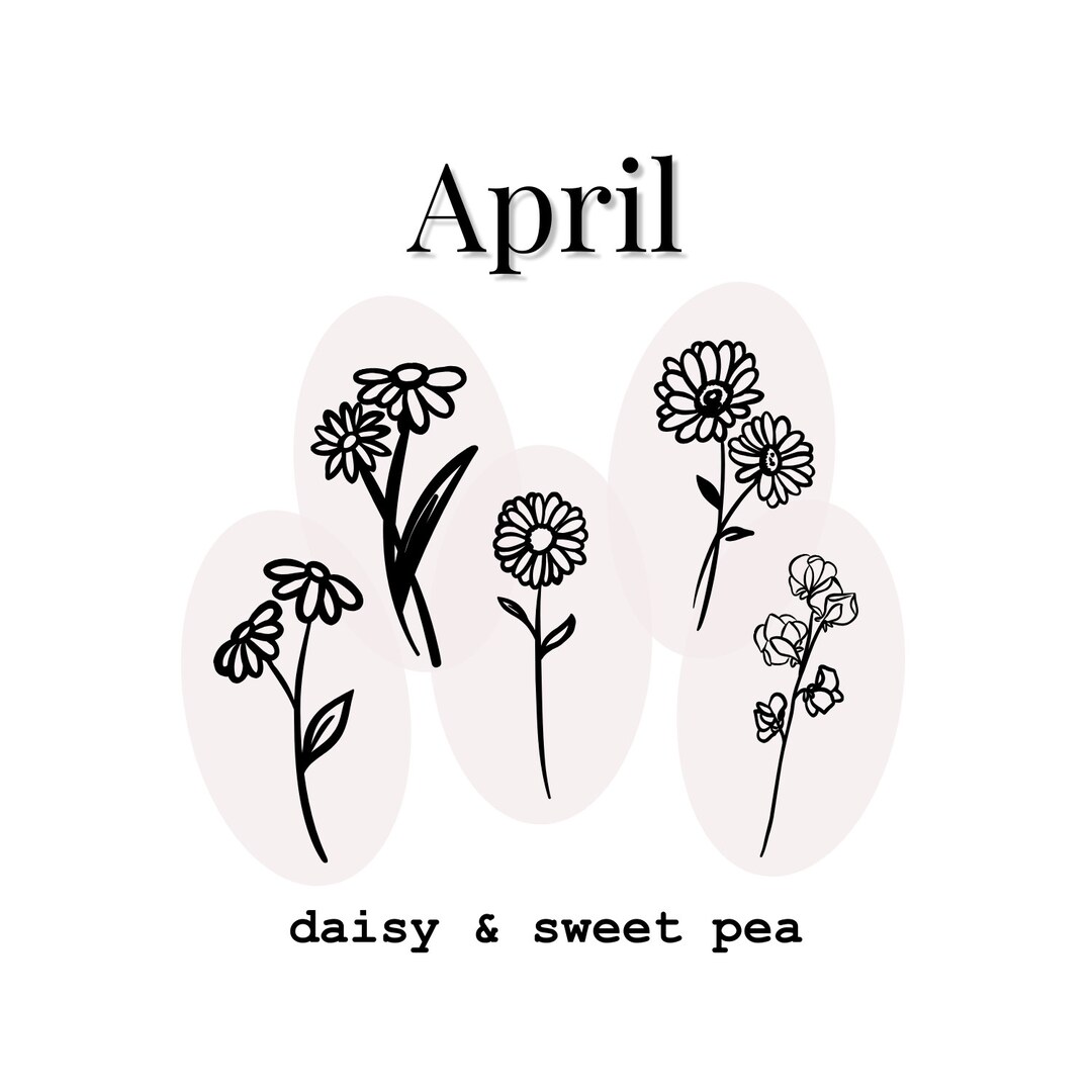 April Birth Flower Bouquet, Daisy & Sweet Pea Floral Clipart (SVG PNG ...