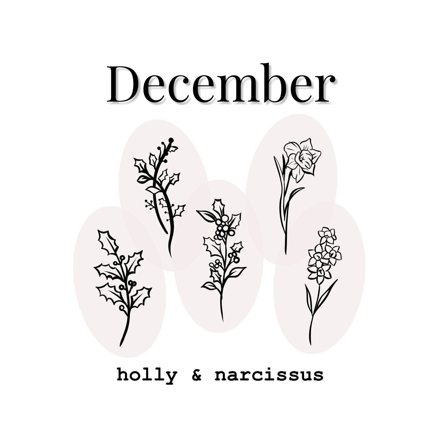 DECEMBER Birth Month Flower Bundle SVG PNG, Birthflower, Floral Clipart ...