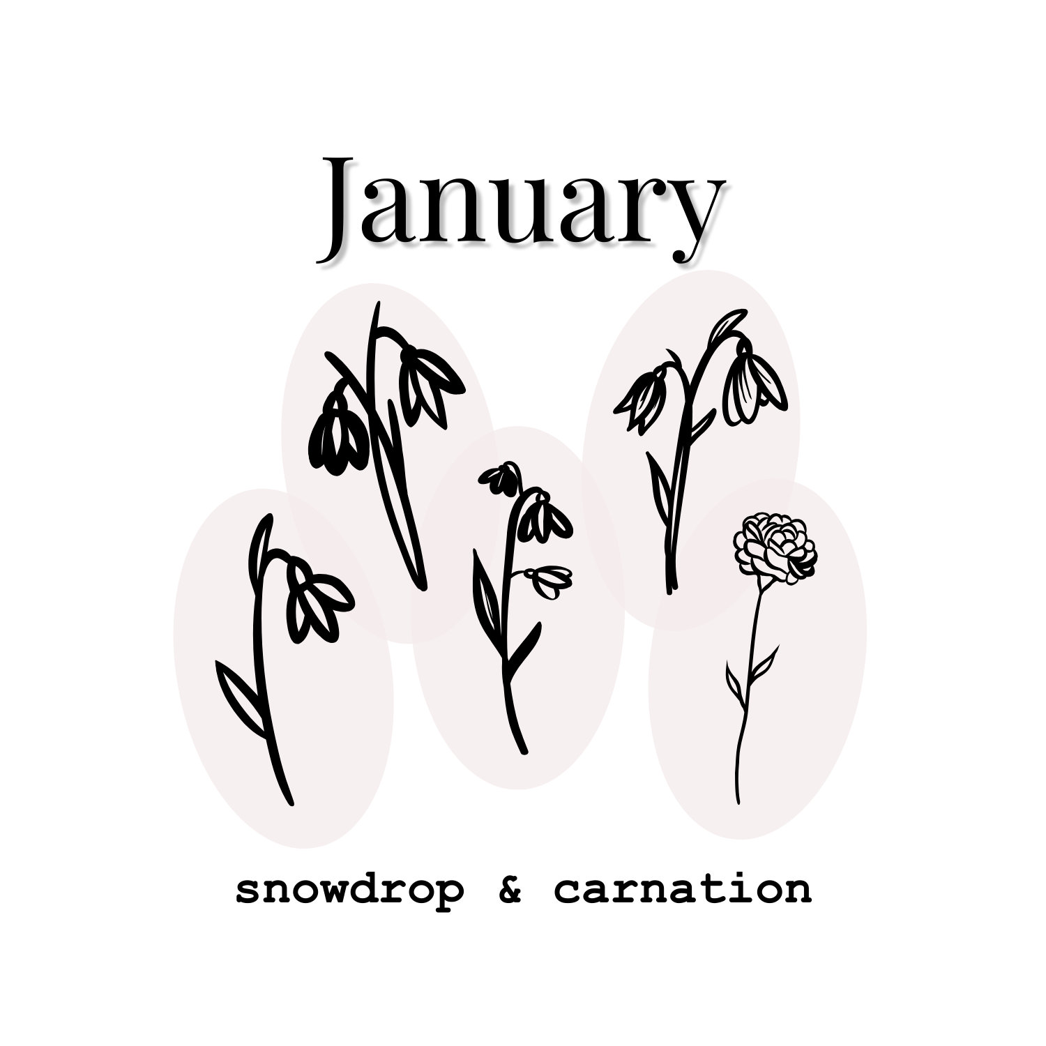 JANUARY Birth Month Flower Bundle SVG PNG, Birthflower, Floral Clipart ...
