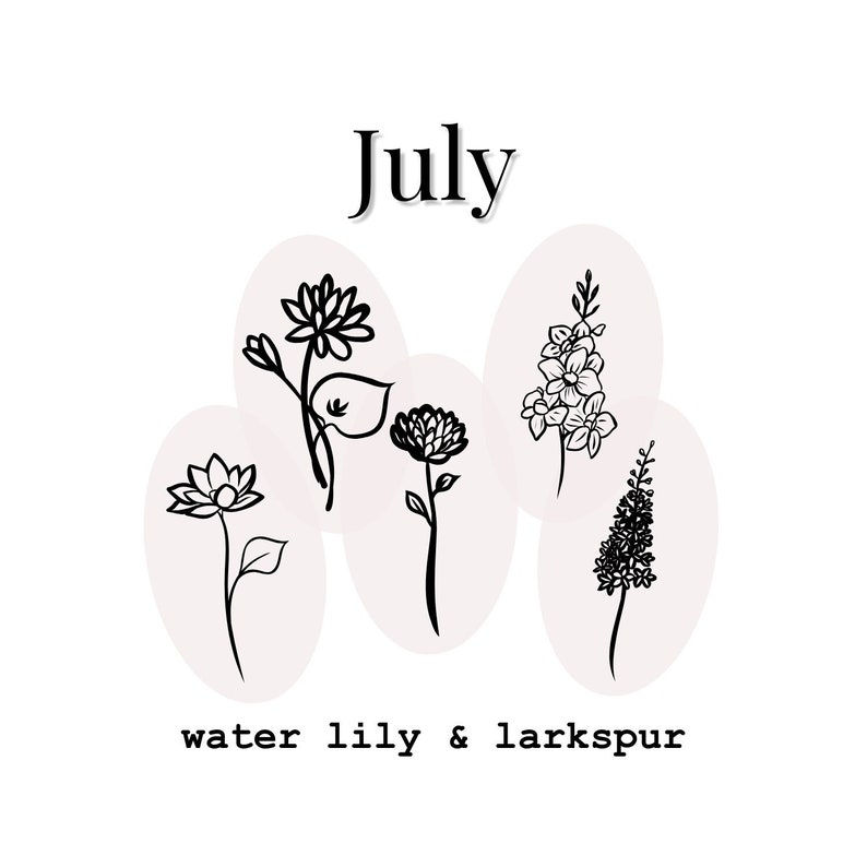 JULY Birth Month Flower Bundle SVG PNG, Birthflower, Floral Clipart ...