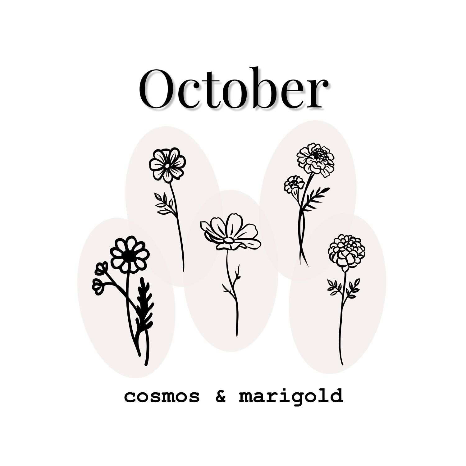 OCTOBER Birth Month Flower Bundle SVG PNG, Birthflower, Floral Clipart ...
