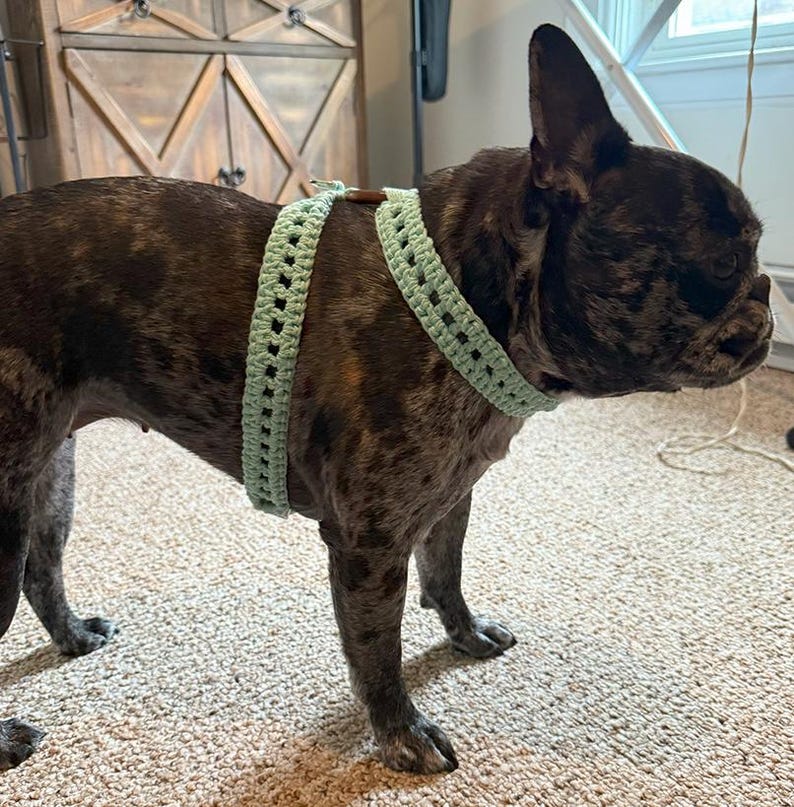 Crochet Dog Harness Pattern: Adjustable Cotton Design (PDF Download) - Etsy