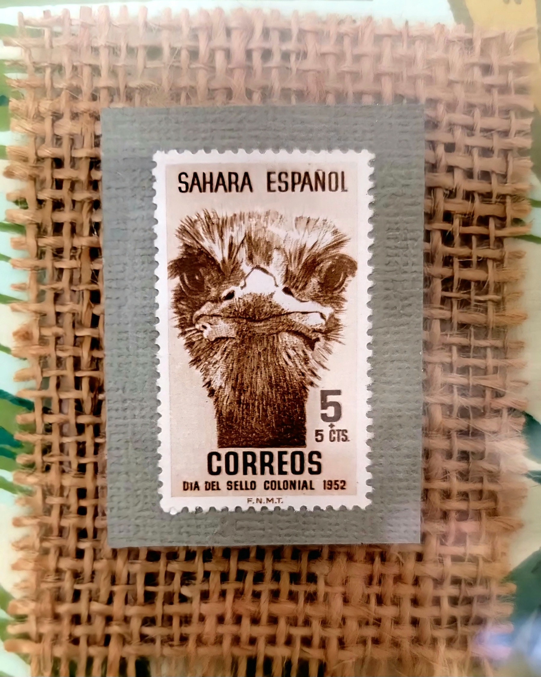 Ostrich Spanish Sahara Postage Stamp, Framed Postage Stamp, Stamp ...