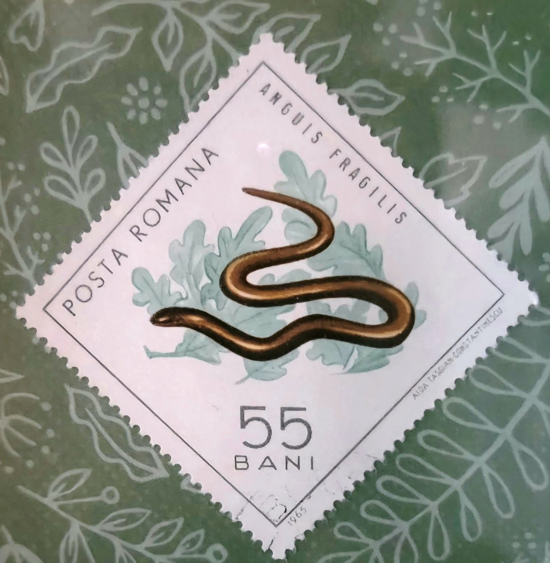 Faux Snake Skin Lizard Stamps, Slow Worm Stamp, Stamp Collections ...