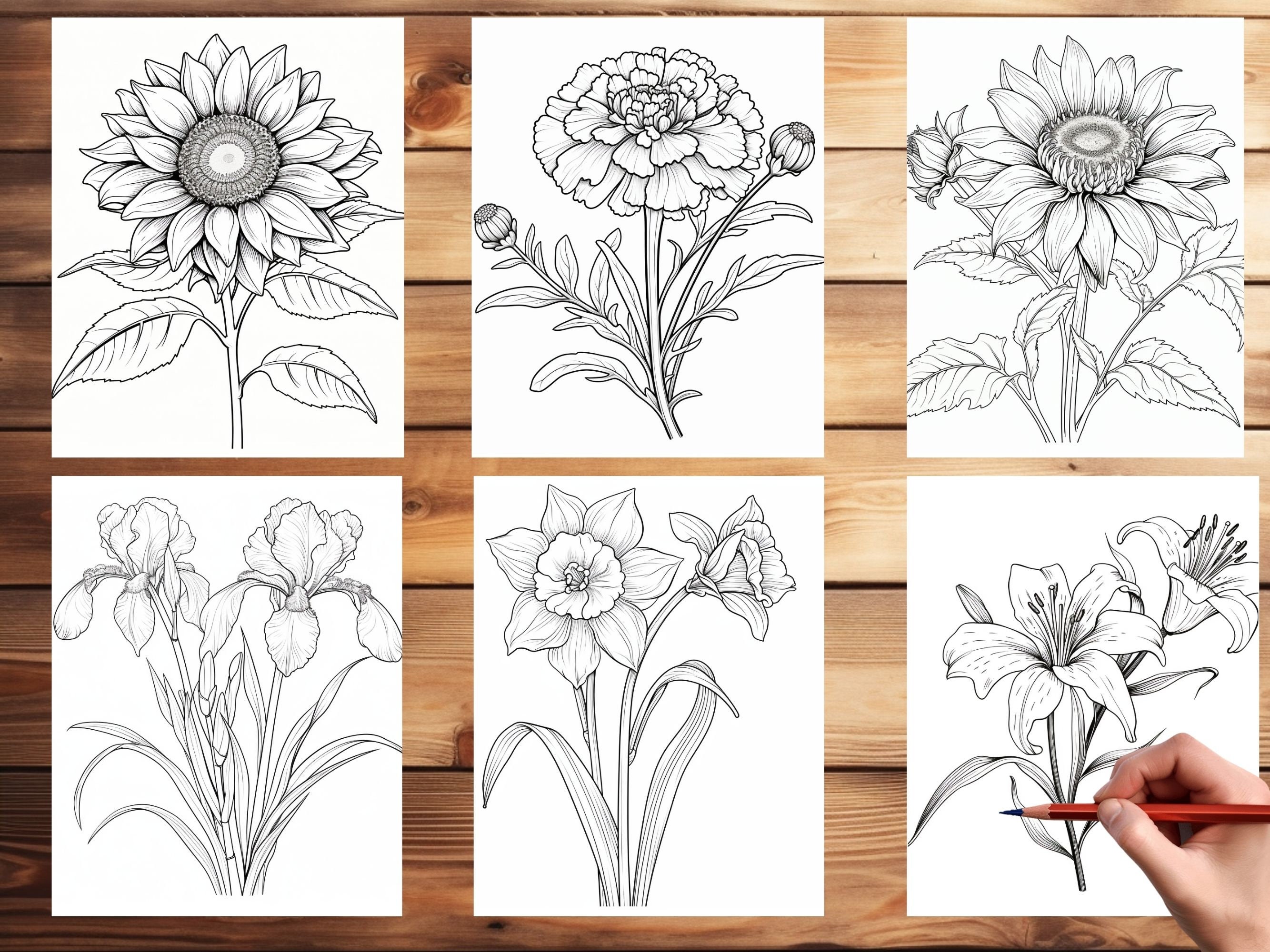 Flower Coloring Pages printable Floral Designs for - Etsy