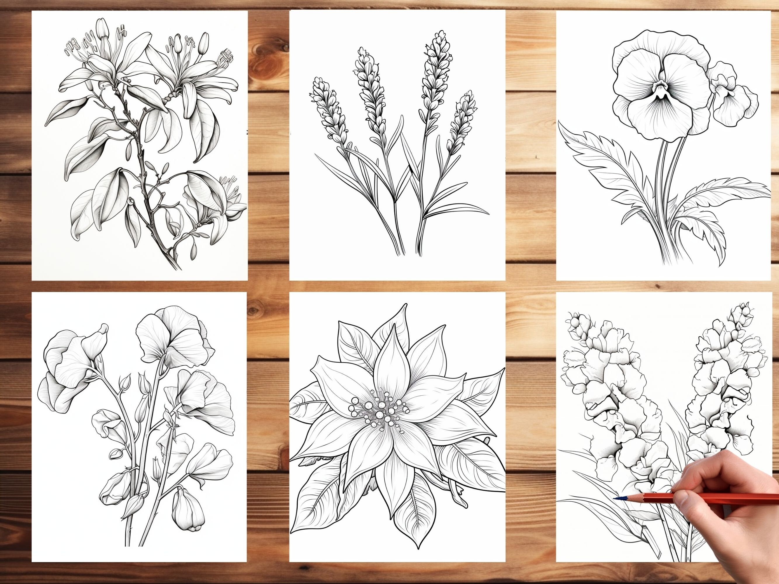 Flower Coloring Pages printable Floral Designs for - Etsy