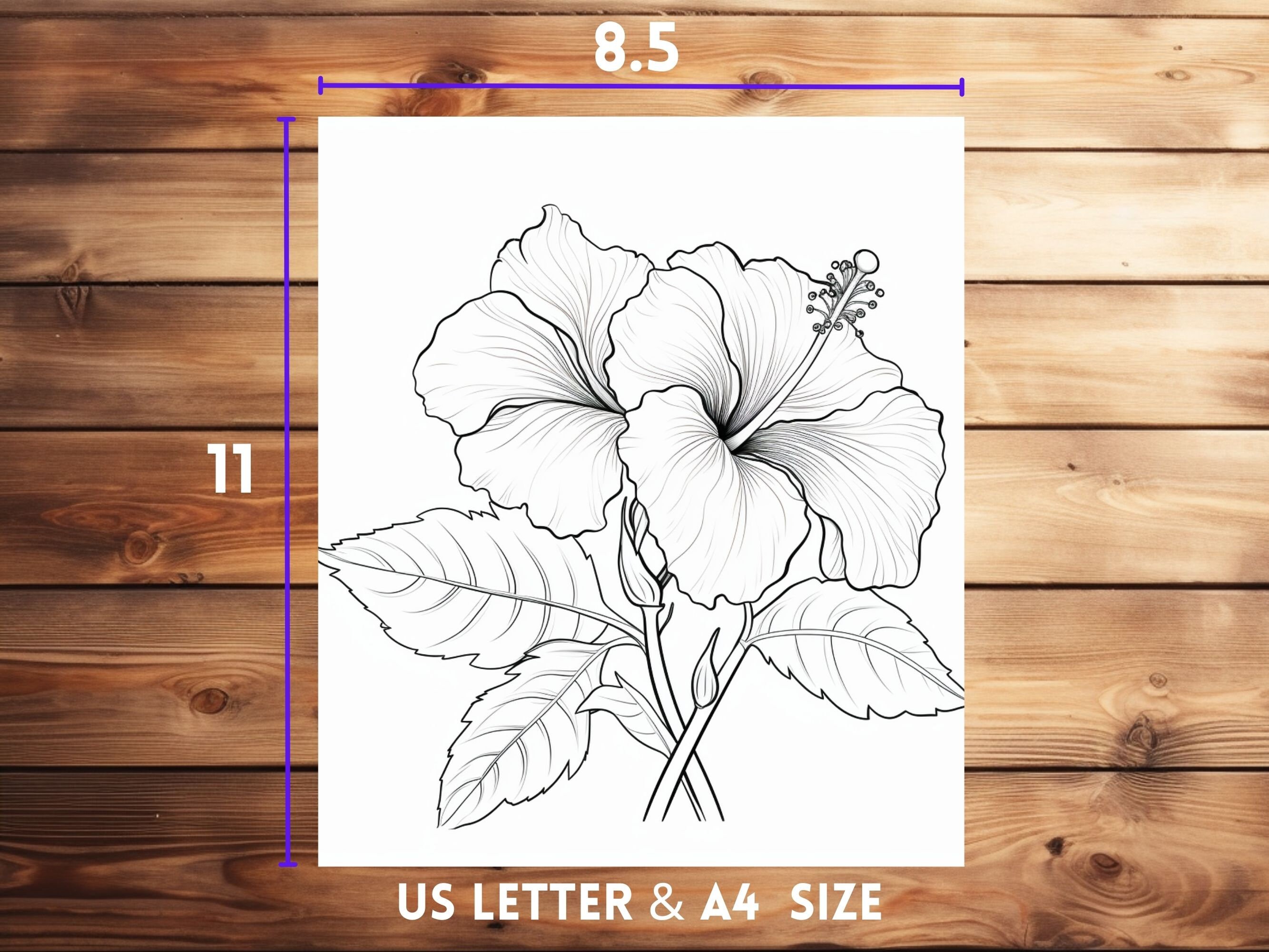 Flower Coloring Pages printable Floral Designs for - Etsy