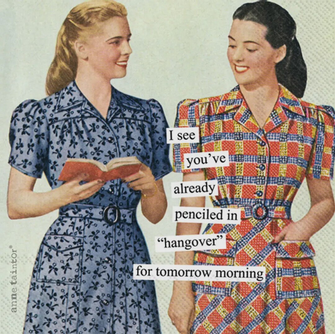 Novelty Anne Taintor Paper Cocktail Napkin Set, Retro Housewife ...