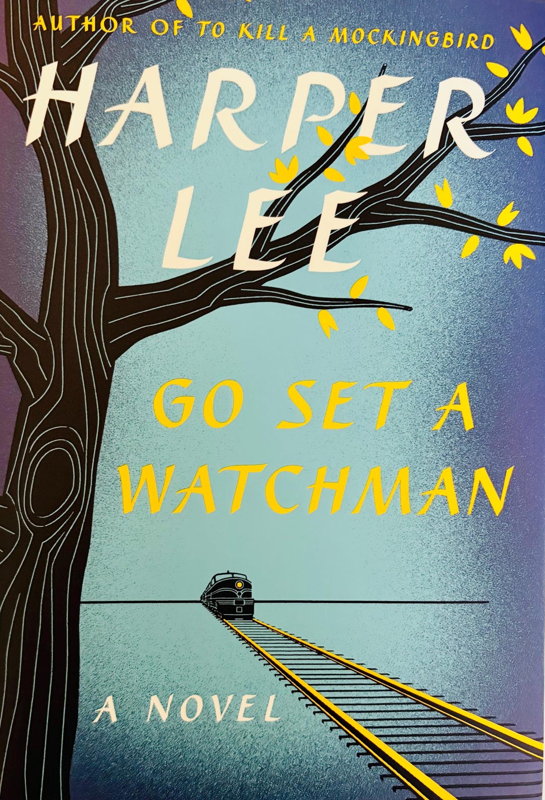 First Edition, First Printing of Go Set a Watchman by Harper Lee - Etsy