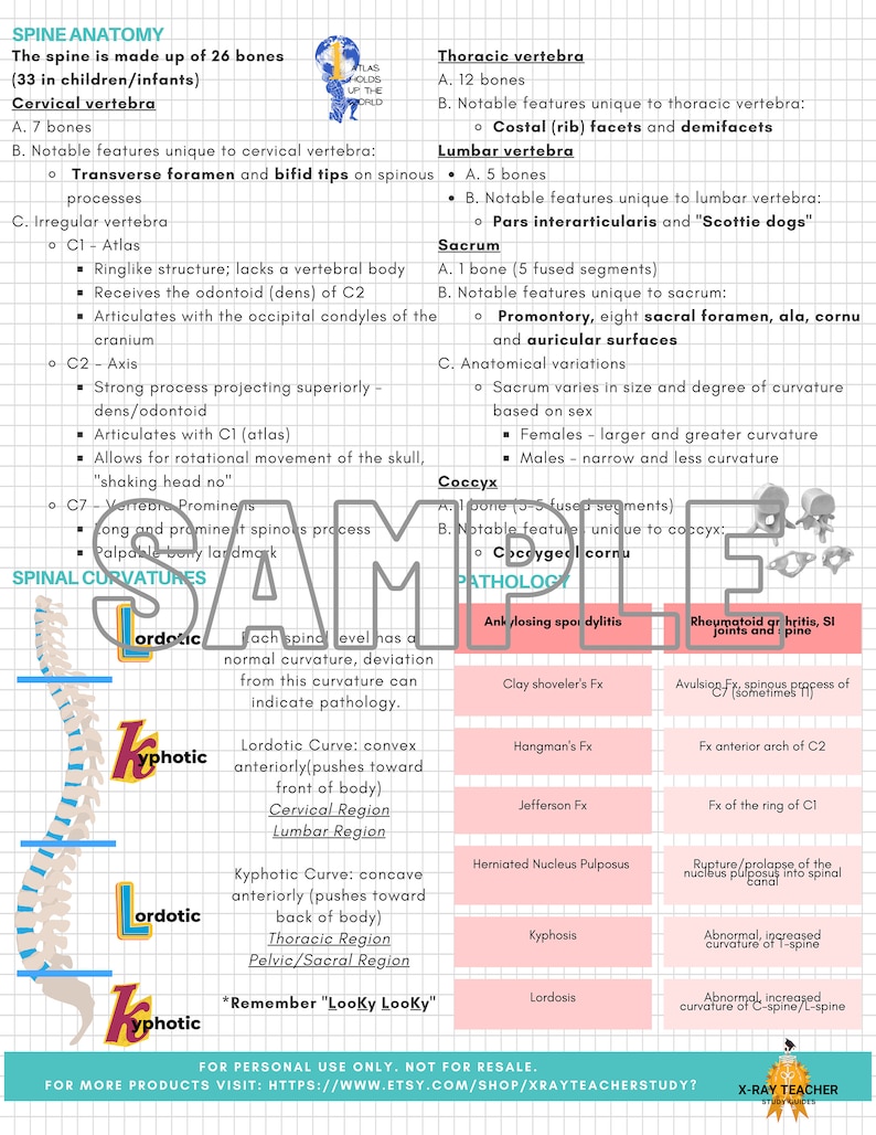 DIGITAL VERSION ARRT Study Guide: Procedures Quick Reference Sheet ...