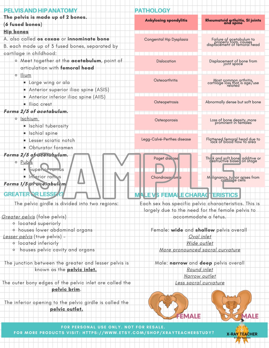 Personalized ARRT Procedures Study Guide: X-ray Quick Reference ...