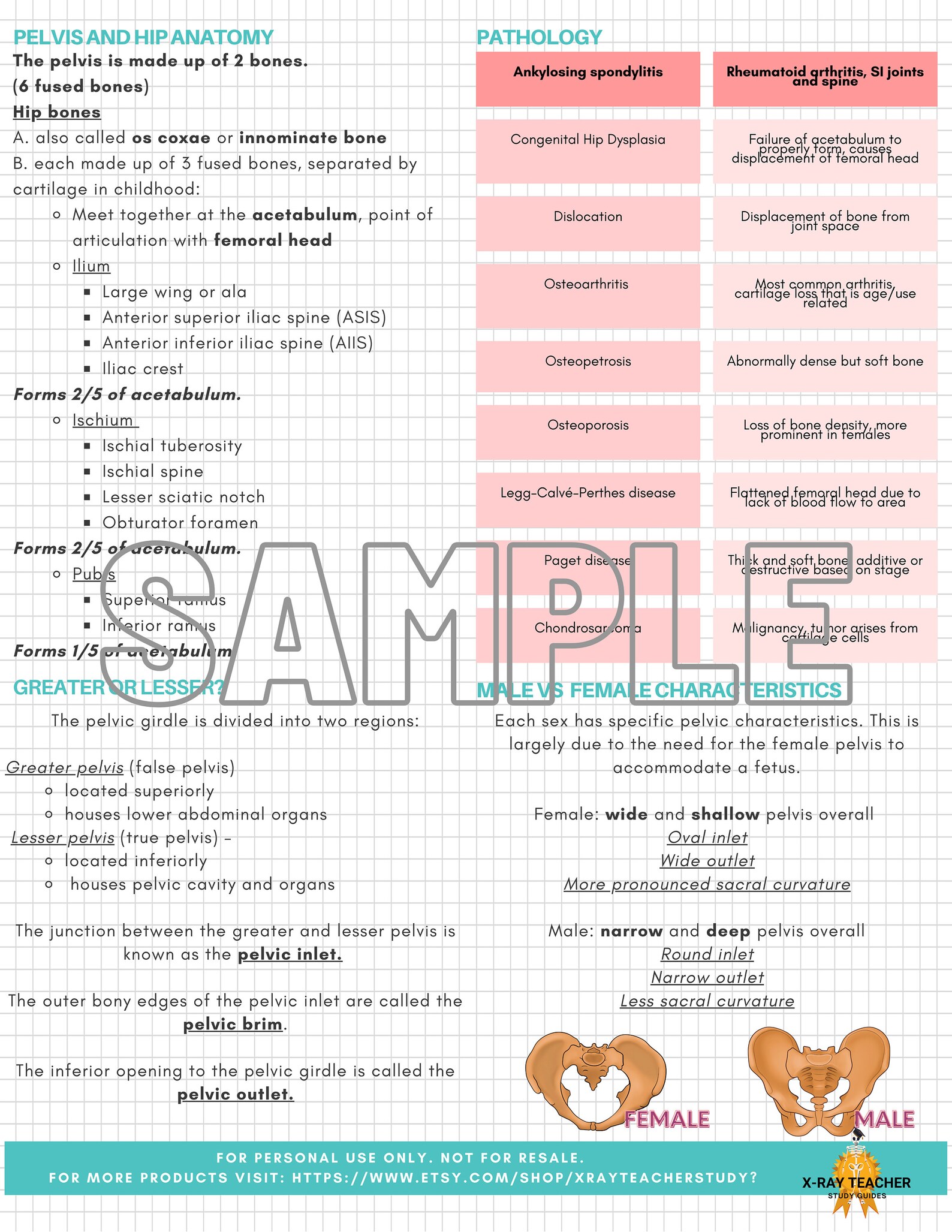 DIGITAL VERSION ARRT Study Guide: Procedures Quick Reference Sheet ...