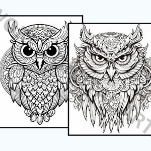 50 Owl Mandalas Coloring Book, Mandala Coloring Pages, Coloring for ...