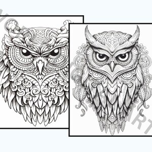 50 Owl Mandalas Coloring Book, Mandala Coloring Pages, Coloring for ...