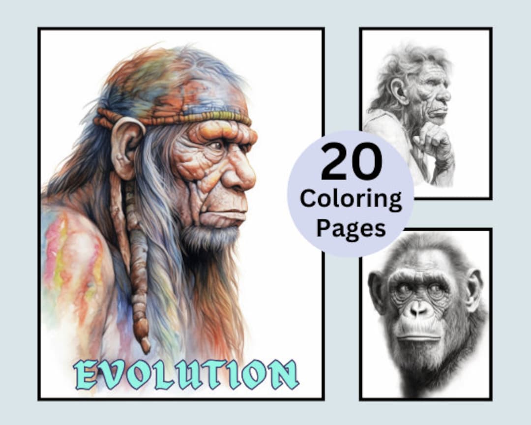 20 Human Evolution Coloring Pages Human Coloring Book - Etsy UK