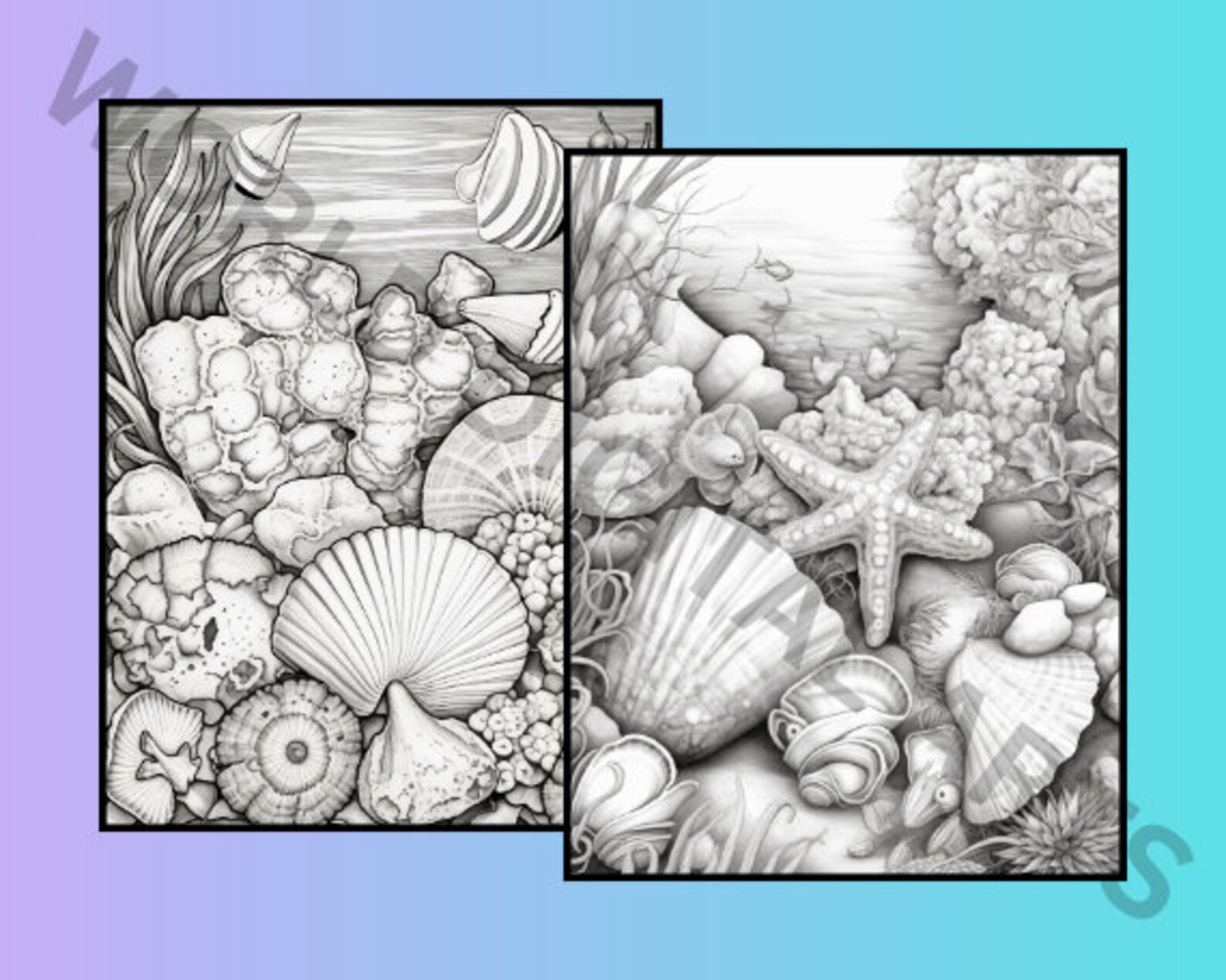 50 Seashells Coloring Pages, Shells Coloring Book, Grayscale Coloring ...