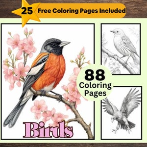 88 Birds Coloring Pages, Bird Coloring Book, Grayscale Coloring ...