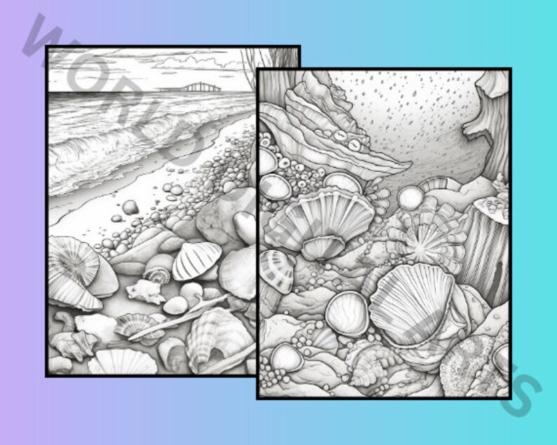 50 Seashells Coloring Pages, Shells Coloring Book, Grayscale Coloring ...
