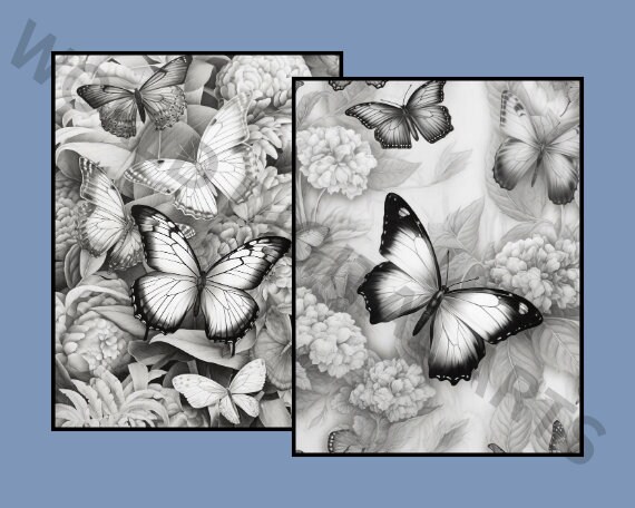 25 Butterflies Coloring Page, Butterfly Coloring, Grayscale Coloring ...