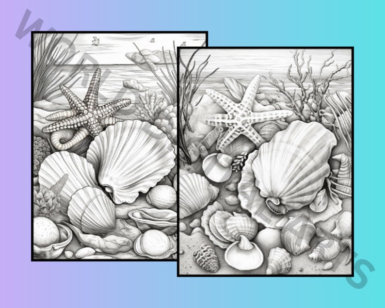 50 Seashells Coloring Pages, Shells Coloring Book, Grayscale Coloring ...