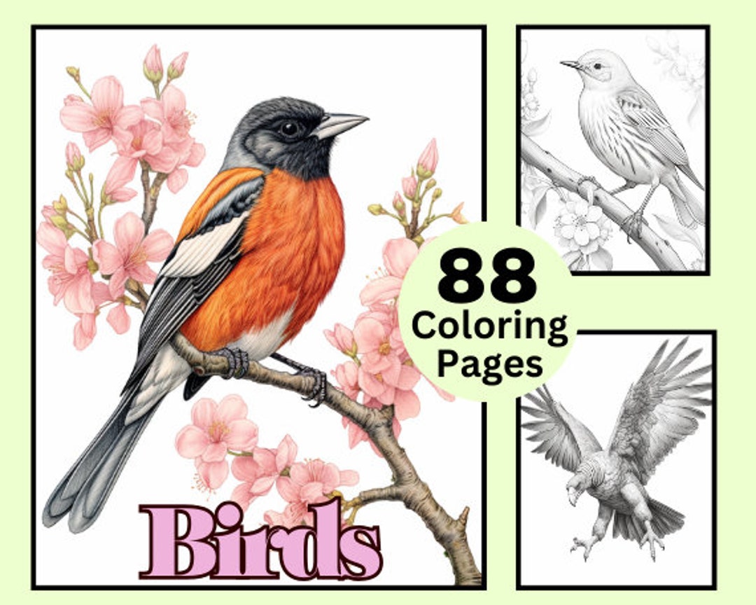 88 Birds Coloring Pages, Bird Coloring Book, Grayscale Coloring ...