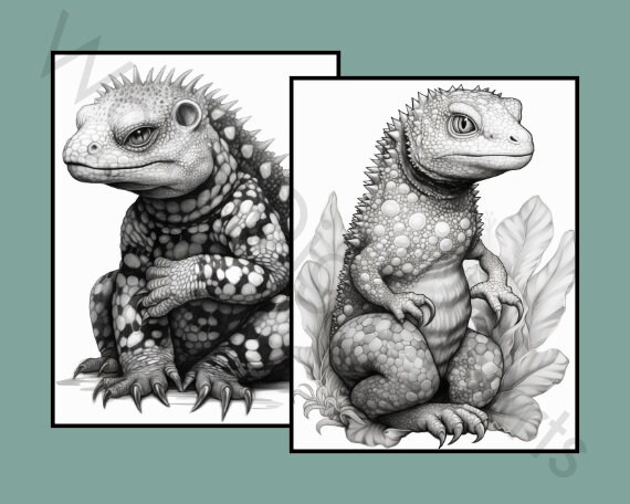 50 Pattern Animals Coloring Pages, Pattens Coloring Book, Grayscale ...