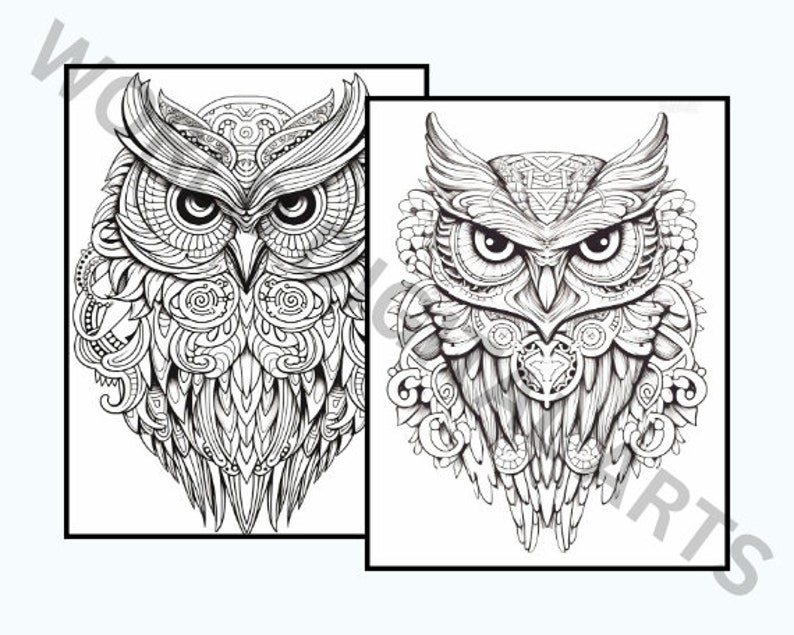 50 Owl Mandalas Coloring Book Mandala Coloring Pages - Etsy