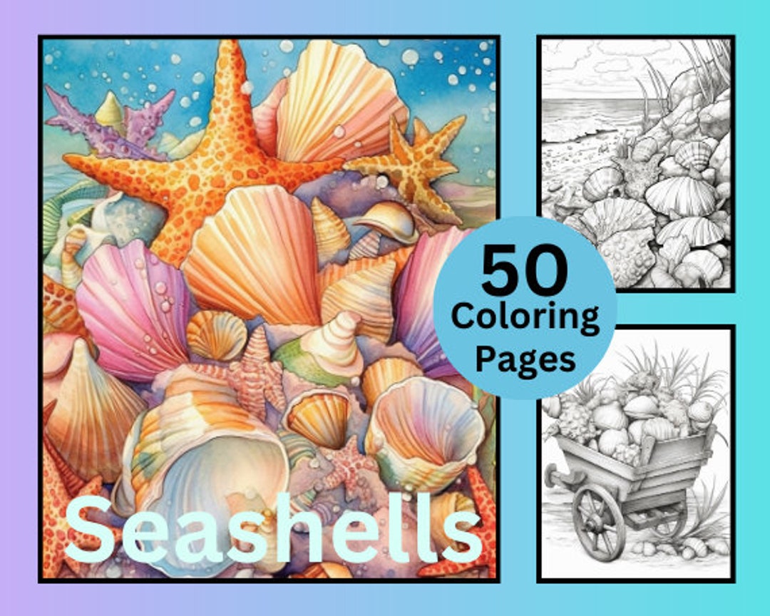 50 Seashells Coloring Pages, Shells Coloring Book, Grayscale Coloring ...