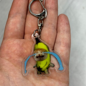 Acrylic Cat Meme Keychains, Keychain, Banana, Apple, Kiwi, Meme, Cat ...