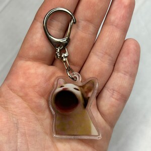 Acrylic Cat Meme Keychains, Keychain, Banana, Apple, Kiwi, Meme, Cat ...