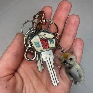 Acrylic Cat Meme Keychains, Keychain, Banana, Apple, Kiwi, Meme, Cat ...