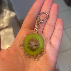 Acrylic Cat Meme Keychains, Keychain, Banana, Apple, Kiwi, Meme, Cat ...