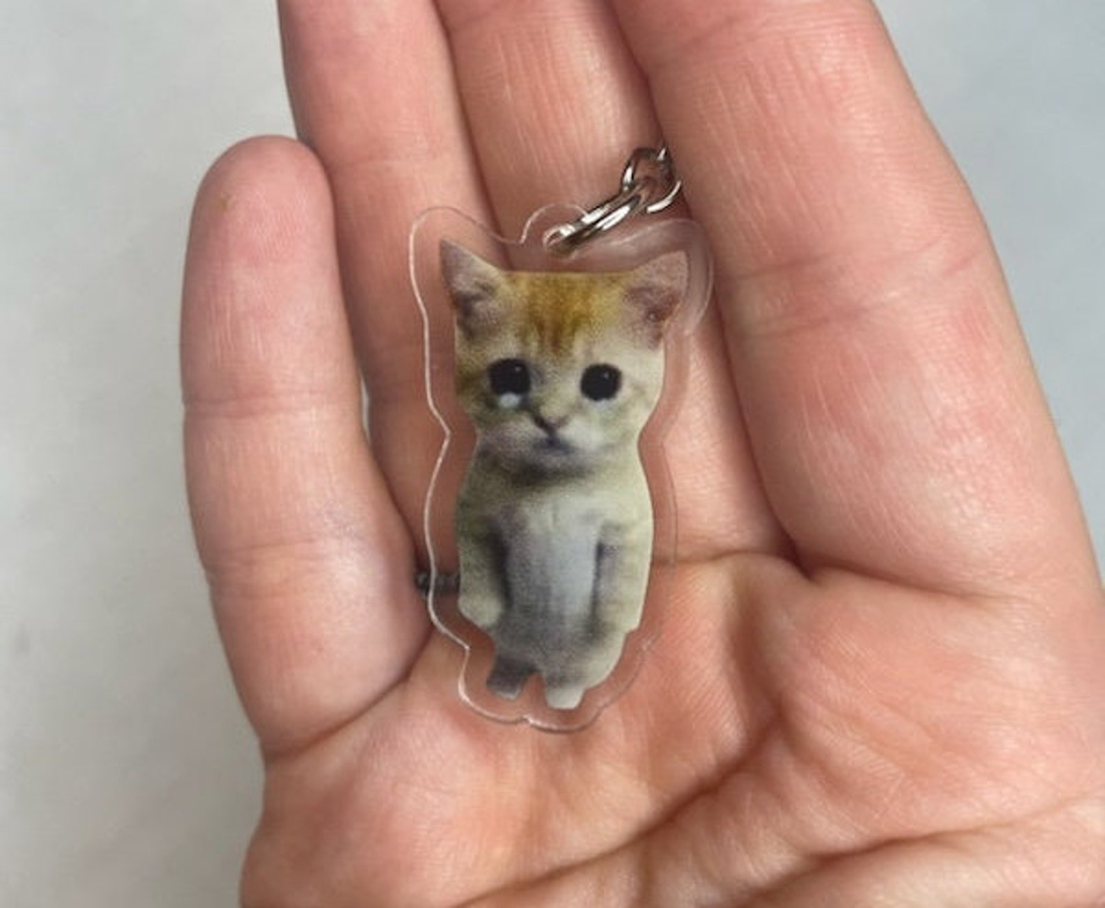 Acrylic Cat Meme Keychains, Keychain, Banana, Apple, Kiwi, Meme, Cat ...