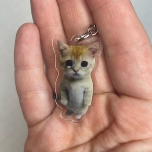 Acrylic Cat Meme Keychains, Keychain, Banana, Apple, Kiwi, Meme, Cat ...