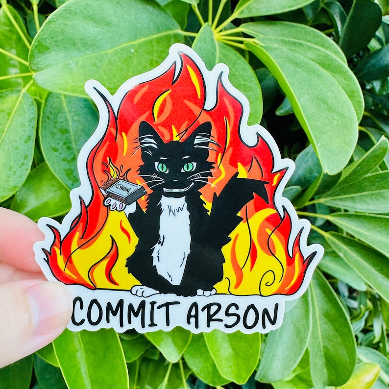Arson Cat Meme Vinyl Sticker for Laptops, Water Bottles and Notebooks ...