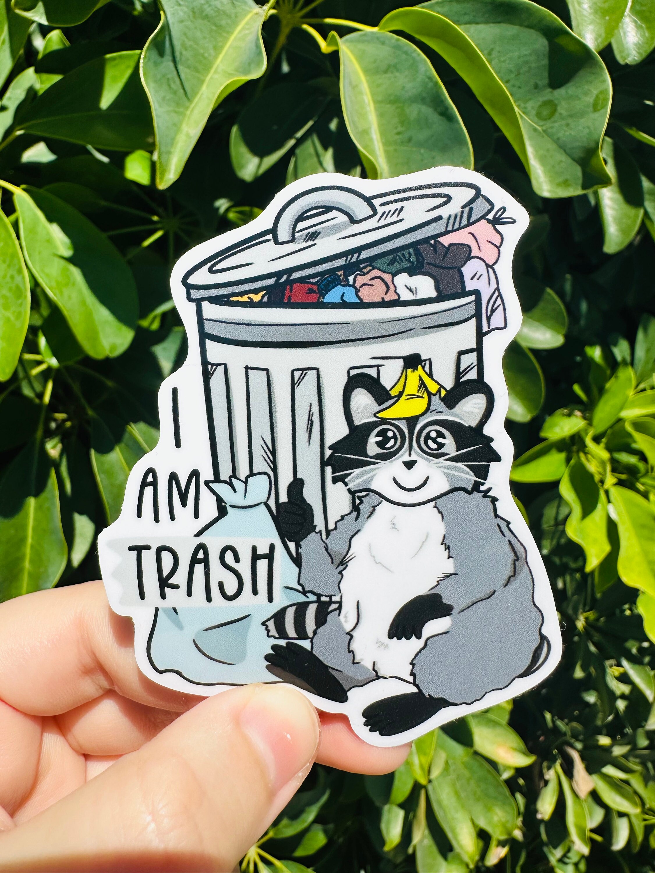 Funny Racoon Vinyl Sticker for Laptops, Water Bottles and Notebooks ...