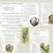 Diana Goddess Rome Mythology, Grimoire Pages. Printable. - Etsy