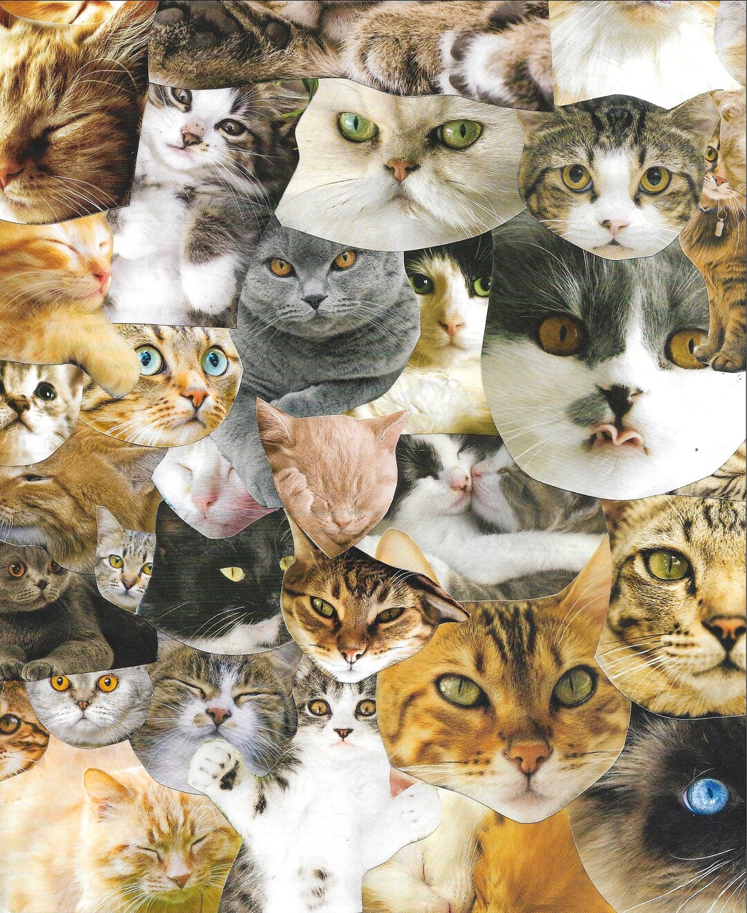 Cat Analog Collages - Etsy